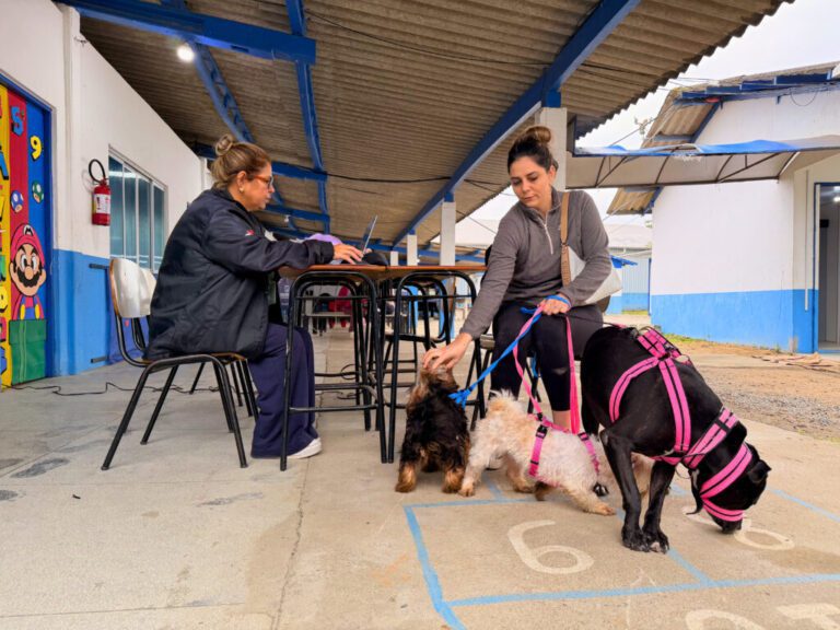 Navega Até Você realiza 255 atendimentos no bairro Volta Grande ...